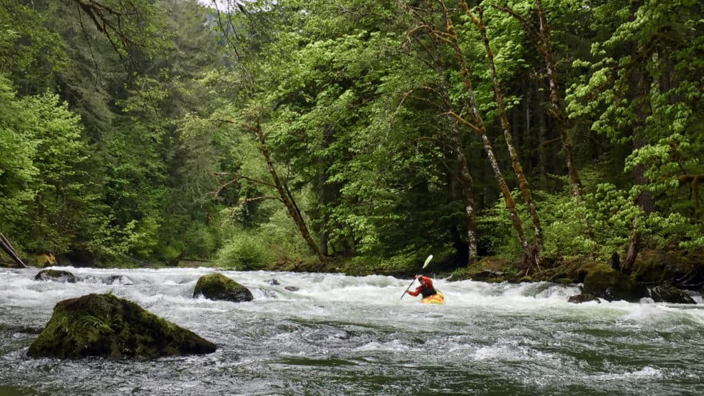 Upper Cispus River Rafting & Kayaking | Whitewater Guidebook